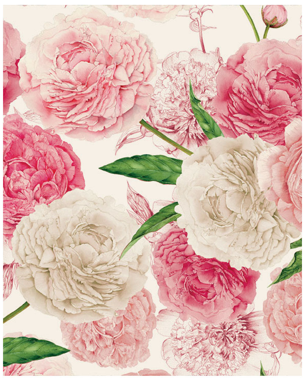 Wrap - Peony – Passion For Paper