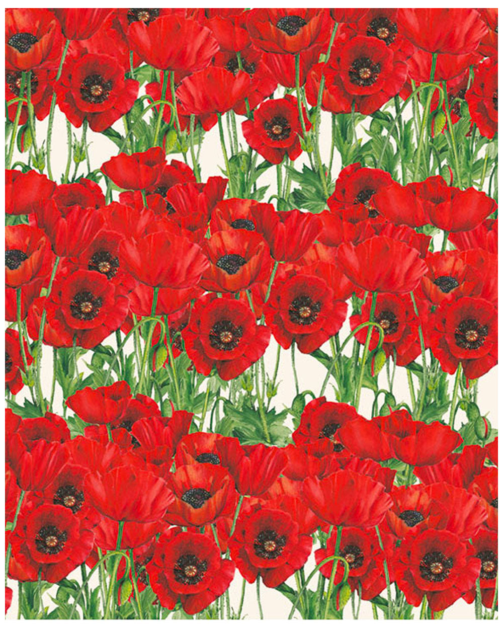 Wrap - Poppies – Passion For Paper